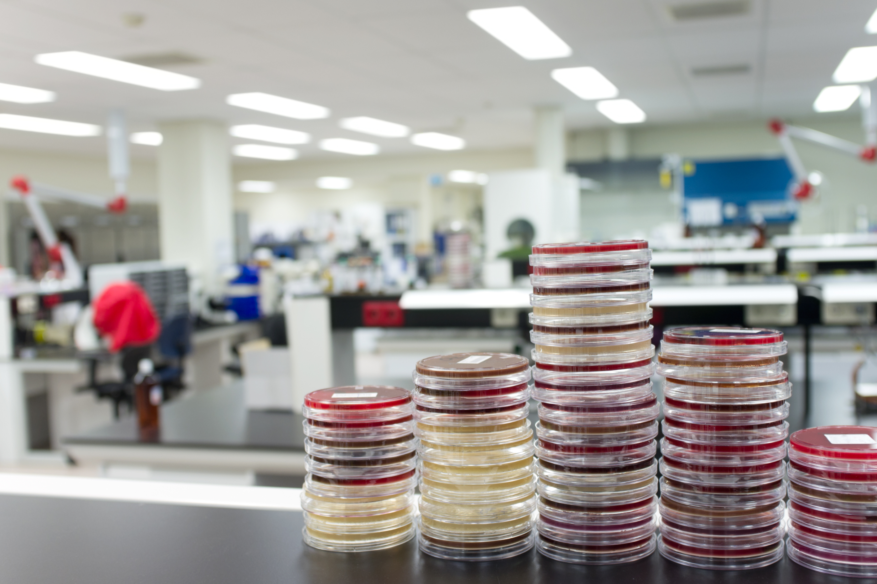 UKAS Accredited Microbiological Testing for Dried Fruits, Nuts ...