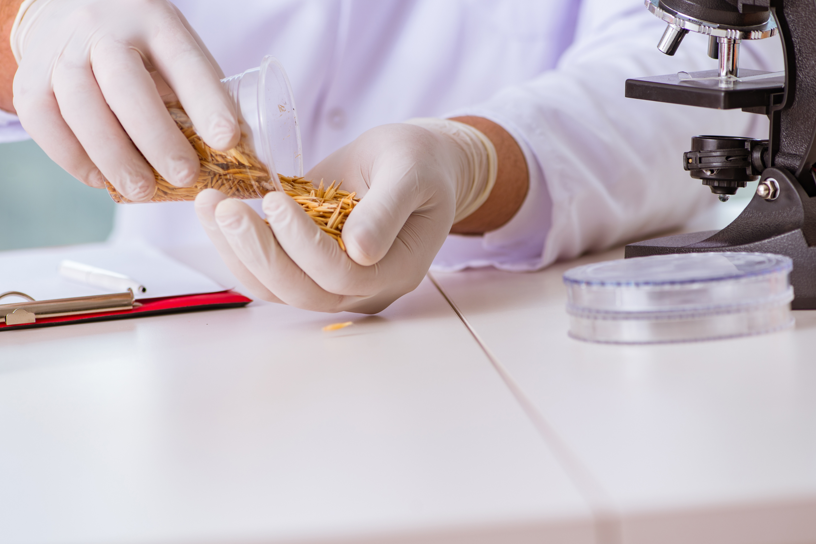 UKAS Accredited Nutritional Testing for Grains & Cereals