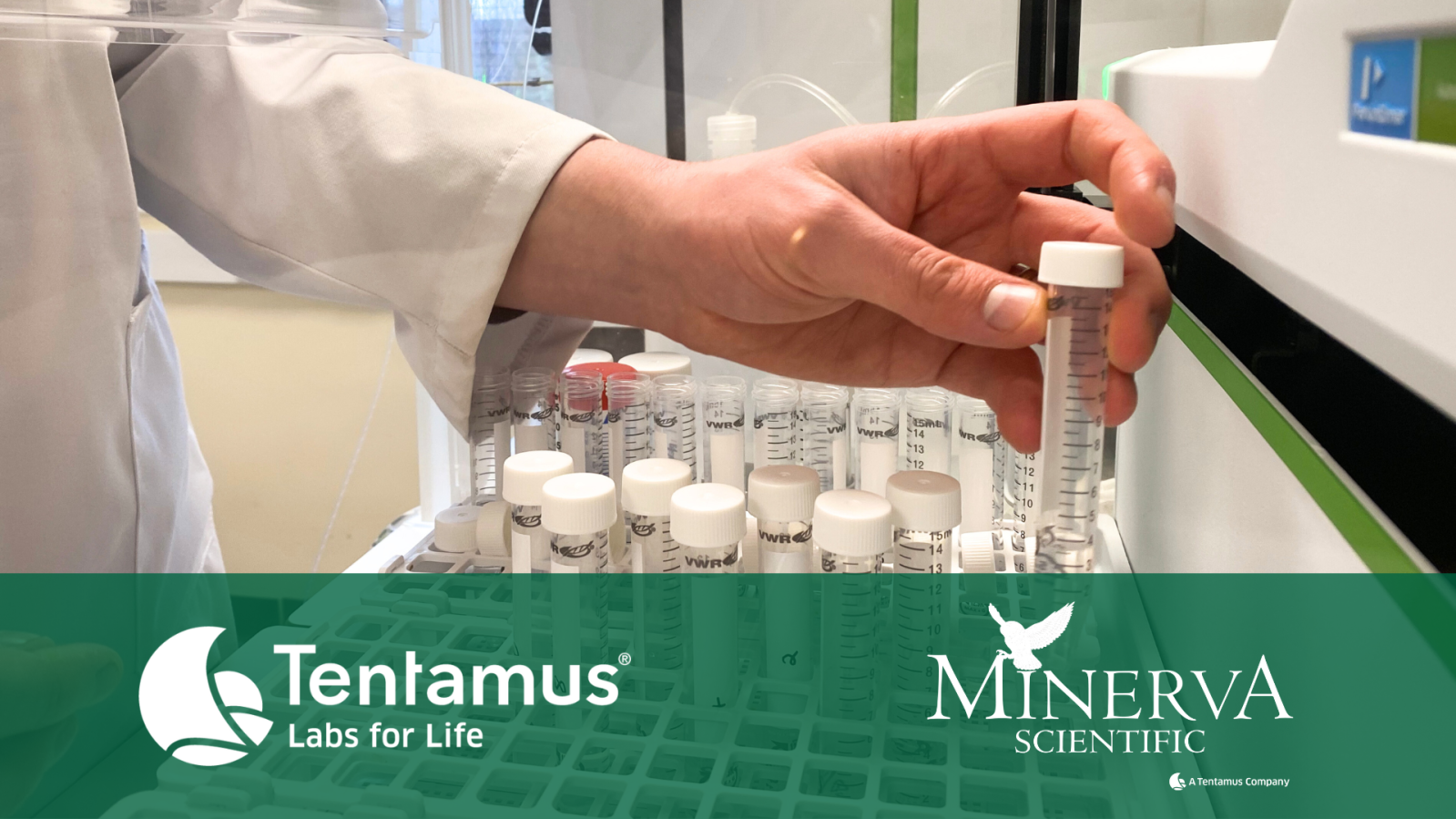 Heavy Metal Testing in Food Using ICP-MS | Minerva Scientific - A ...
